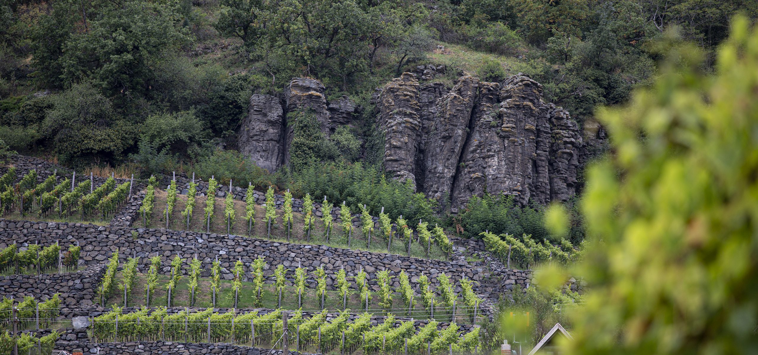 Somlói vár – Négy Évszak Balaton